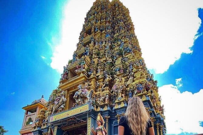 Discover Sigiriya Dambulla and Minneriya Park in Day Tour - What’s Included and What’s Not