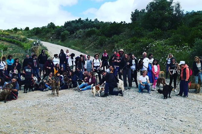 Discover Sintras Hidden Trails: A Unique Hiking Experience - Essential Gear and Amenities Provided