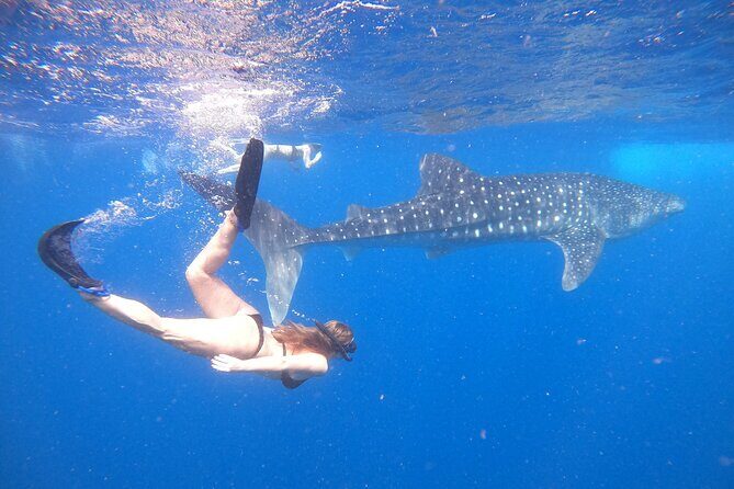 Discover South Ari Atoll - Full Day Tour from Male city - Final Thoughts