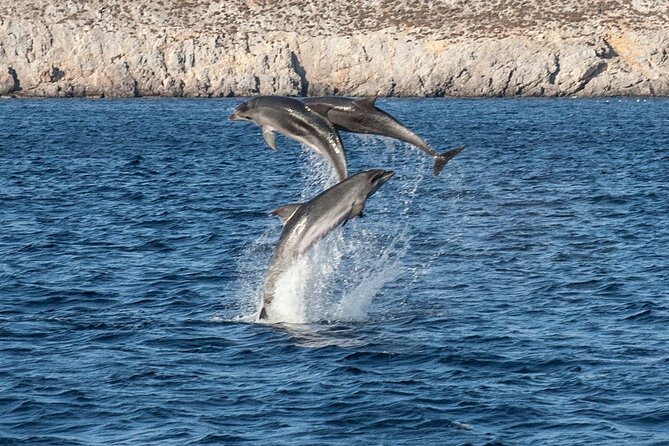 Discover South Naxos Coast Day Cruise - Key Points