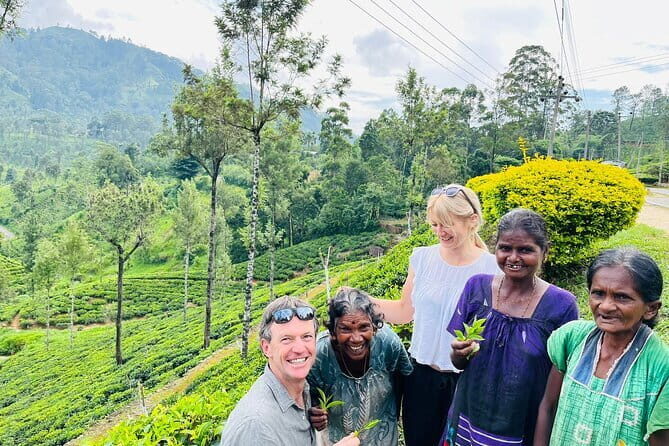 Discover Sri Lanka with Tailored Tours for Timeless Memories - An Honest Look at the Experience