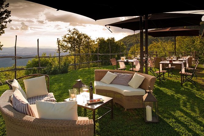 Discover Sustainable Wines in a Guided Tour and Tasting - Eco-Friendly Practices