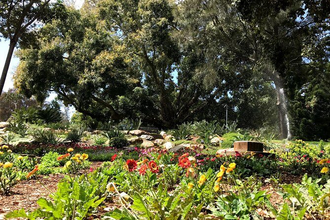 Discover Sydney - Botanic - Who Will Love This Tour?