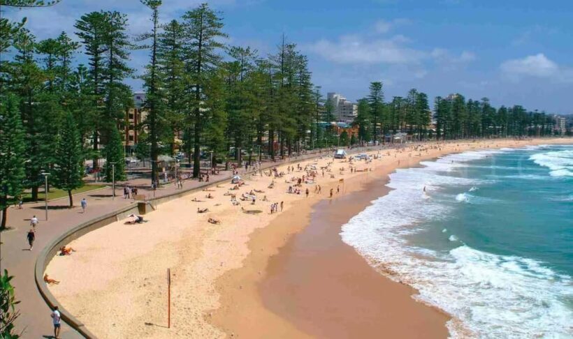 Discover Sydney - Private walking tour - What Travelers Say About This Experience