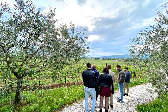 Discover the Amarone Wine: 1 Winery With Delicious Food Pairing - Accessibility and Flexible Cancellation Policy