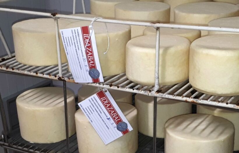Discover the Art of Idiazabal Cheese in the Basque Country - What is the Idiazabal Cheese Tour?