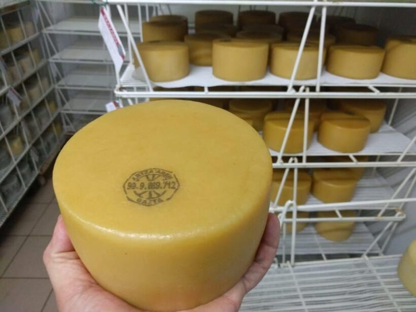 Discover the Art of Idiazabal Cheese in the Basque Country - What Makes This Tour Stand Out?