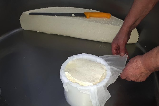Discover the Art of Idiazabal Cheese in the Basque Country - Who Should Consider This Tour?