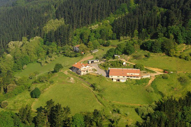 Discover the Art of Idiazabal Cheese in the Basque Country - The Sum Up