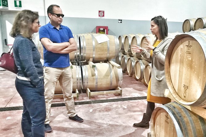 Discover the Best Cellars of Salento - Exploring Local Wineries