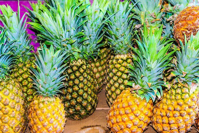 Discover the Best of Antigua Sightseeing Tour - Eagle Transfers - Final Thoughts: Who Will Love This Tour?