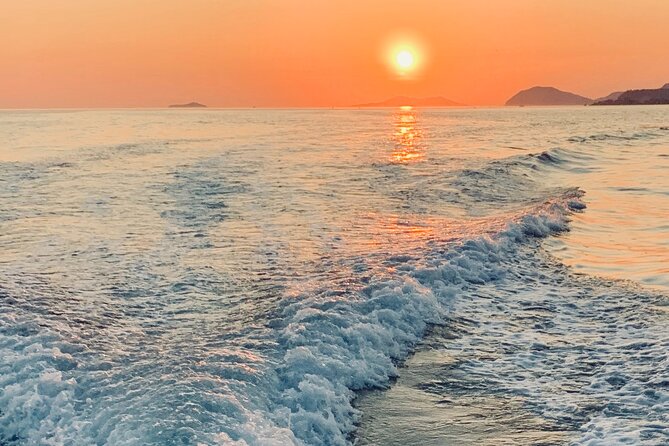 Discover the Best of the Elafiti Islands With Our Group Tour - Accessibility and Traveler Considerations