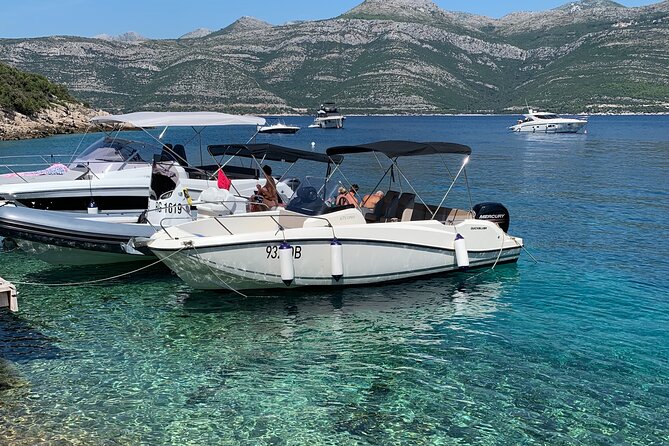 Discover the Best of the Elafiti Islands With Our Group Tour - Exceptional Customer Feedback and Reviews