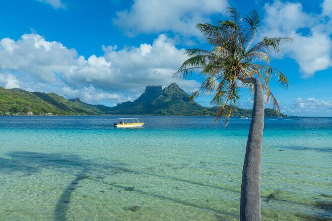 Discover the black pearl in Bora Bora - Practical Details and Value