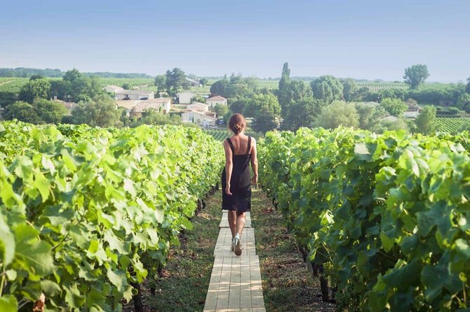 Discover The Cellars in The Heart of The Countryside in Champagne - About Your Stay