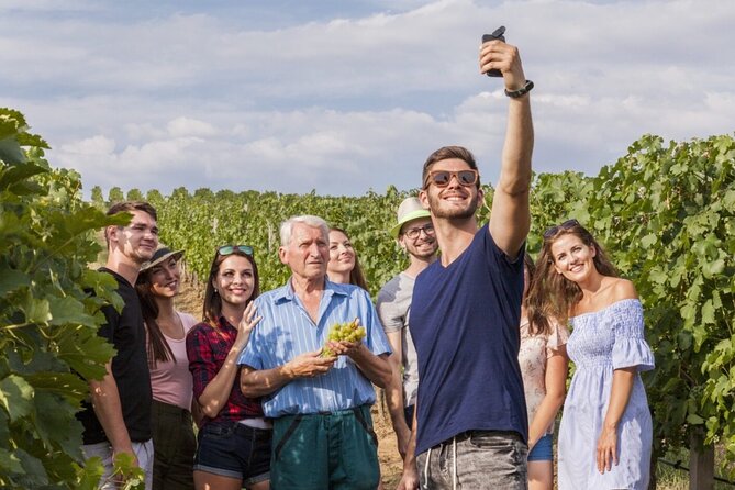 Discover The Cellars in The Heart of The Countryside in Champagne - Highlights of the Mercier Cellars and Vineyard Tours