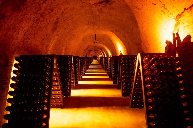 Discover The Cellars in The Heart of The Countryside in Champagne - Booking Information and Policies