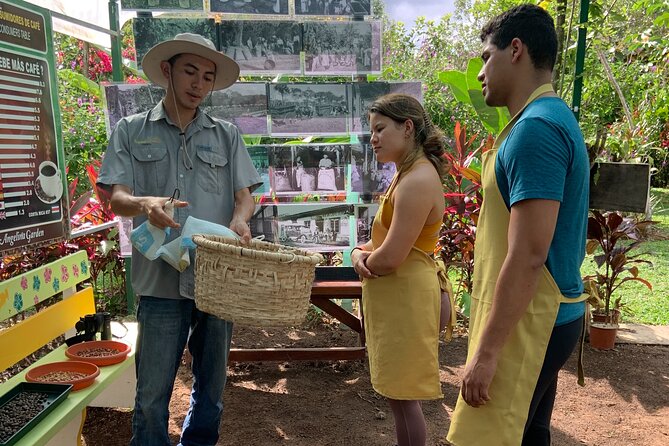 Discover the Costa Rican Essence Coffee, Chocolate and Honey - Key Points