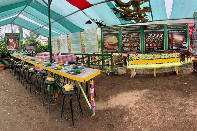 Discover the Costa Rican Essence Coffee, Chocolate and Honey - Exploring the Artisanal World of Chocolate