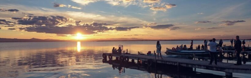 Discover the Devesa and the Albufera: Guided tour - The Practicalities
