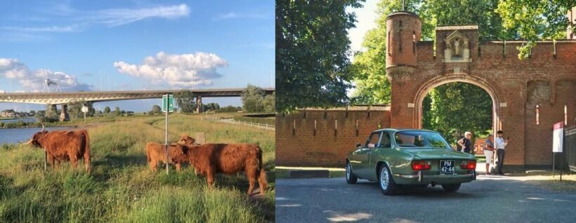 Discover the Dutch Countryside: Car Tour with Local Expert - The Sum Up