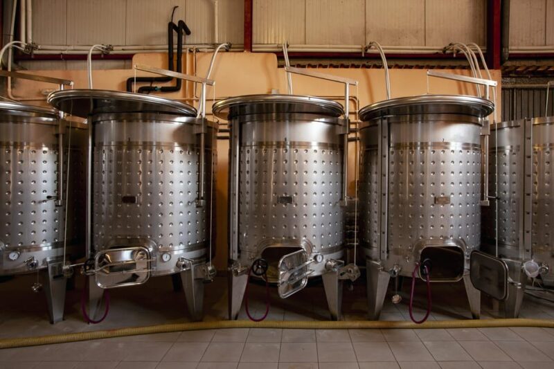 Discover the Essence of Ibizas rich wine culture - What You Can Expect During the Tour