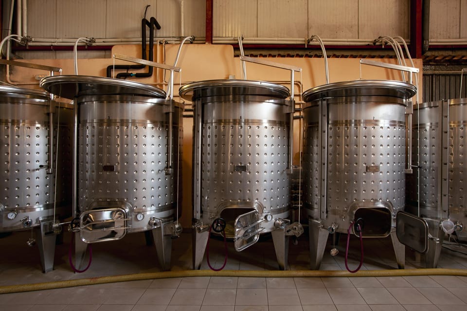 Discover the Essence of Ibizas rich wine culture - Authenticity and Traveler Feedback