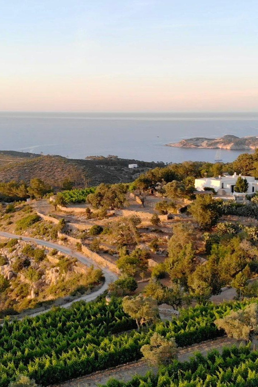 Discover the Essence of Ibizas rich wine culture - FAQ