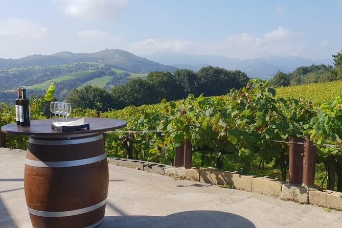 Discover the Essence of Txakoli Wine from San Sebastian - Value and Practical Tips