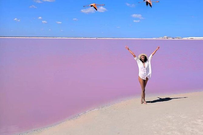 Discover the FABULOUS PINK WATERS in the Caribean - The Sum Up: Is It Worth It?