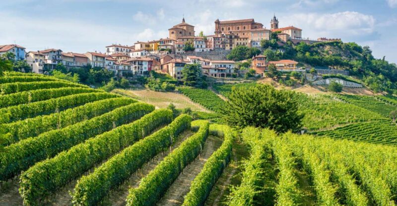 Discover the Heart of Alba and Barolo Reggion - Key Points