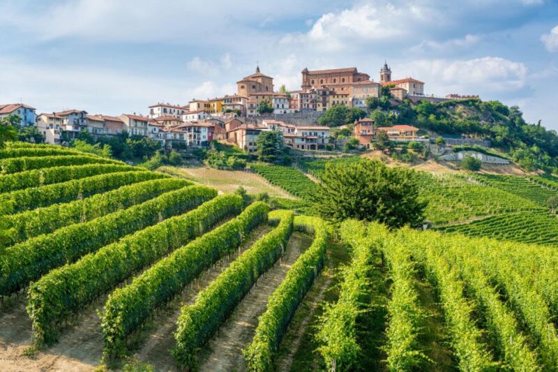 Discover the Heart of Alba and Barolo Reggion - Who Will Love This Tour?