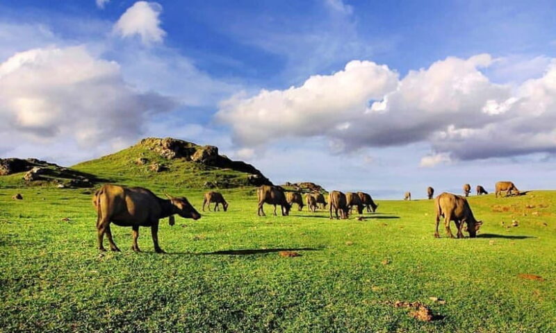 Discover the Heart of Lombok: An Authentic Sasak Tour - Breaking Down the Itinerary