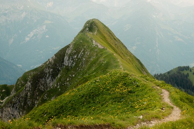 Discover the Hidden Gems of Interlaken Through Your Lens - Who Will Love This Tour?