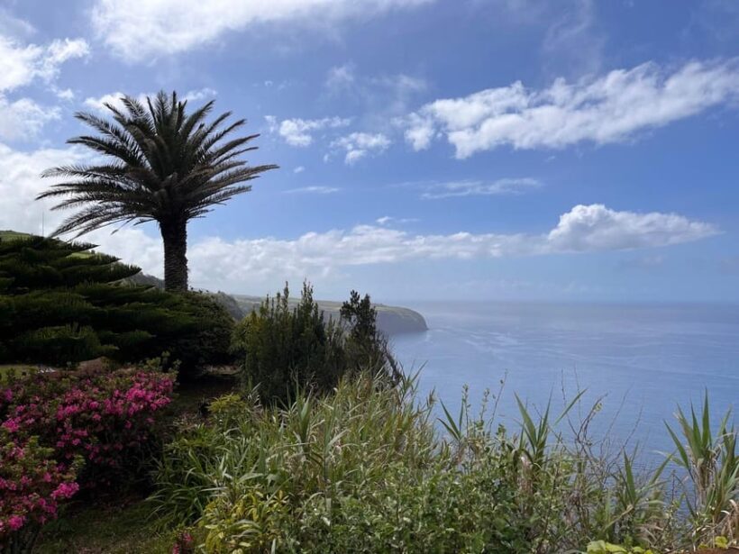 Discover the Hidden Gems of São Miguel Full Day Private Tour - Who Will Love This Tour?
