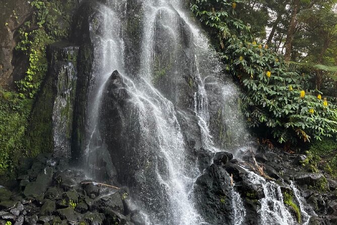 Discover the Hidden Gems of São Miguel - Full Day Private Tour - Who Should Consider This Tour?