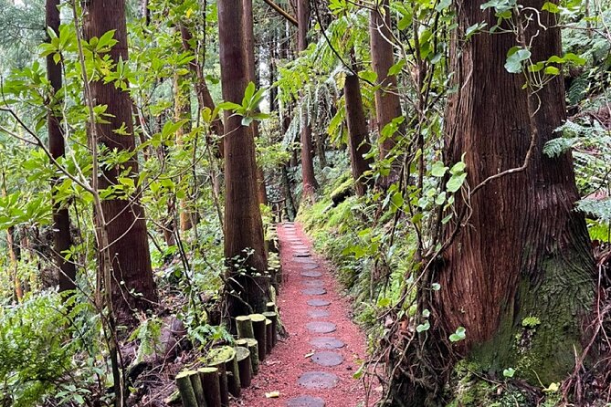 Discover the Hidden Gems of São Miguel - Full Day Private Tour - FAQs