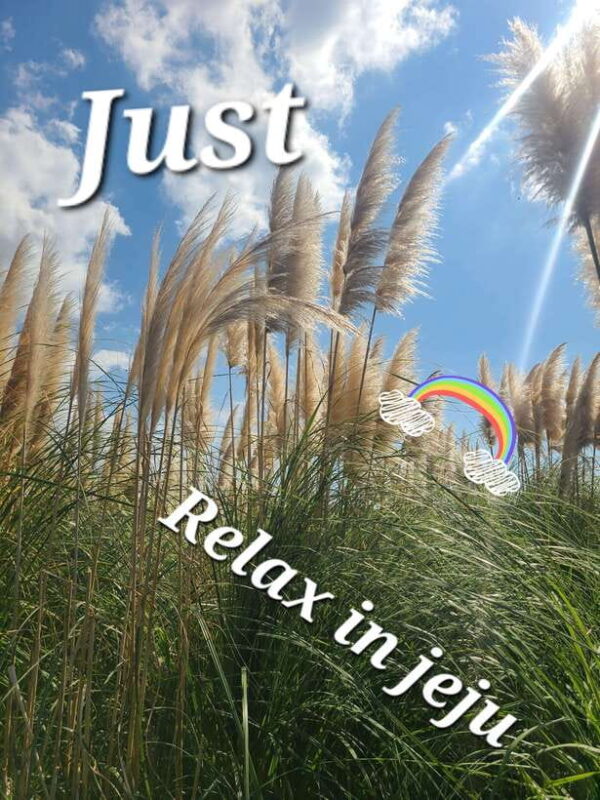 Discover the highlights of Jeju island and its UNESCO sites! - Who Will Enjoy This Tour?