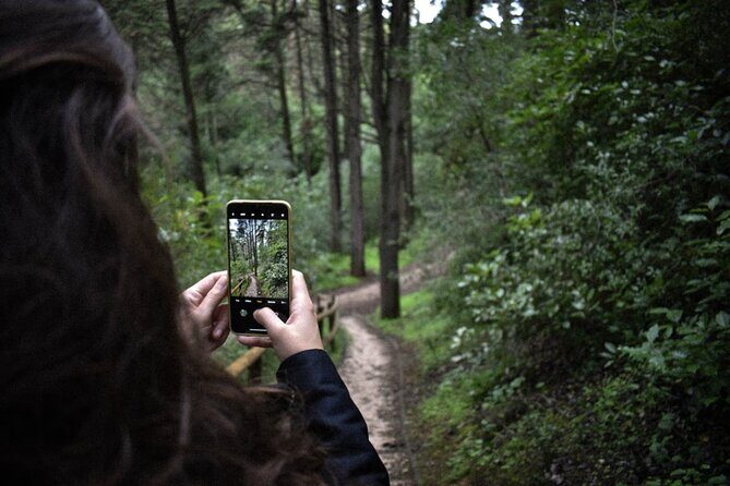 Discover the Lake Agnes Tea House Trail with an Audio Nature Tour - Final Thoughts