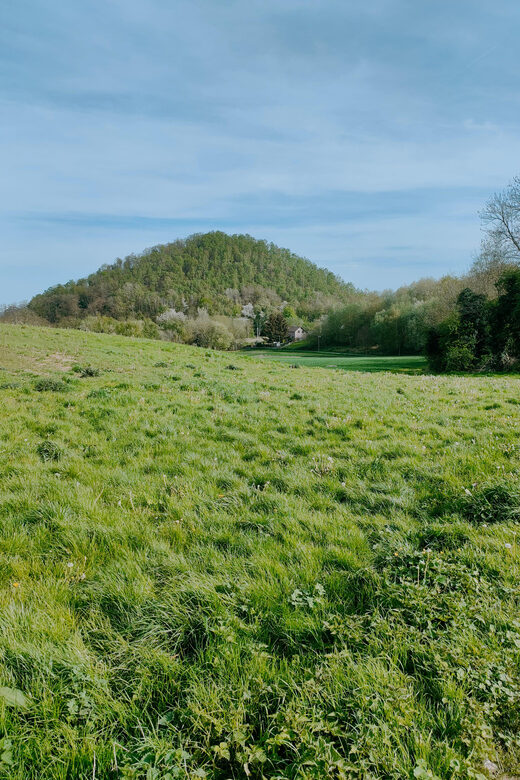 Discover the Liège nature on Trail / hiking-running - An In-Depth Look at the Trail Running Tour in Liège
