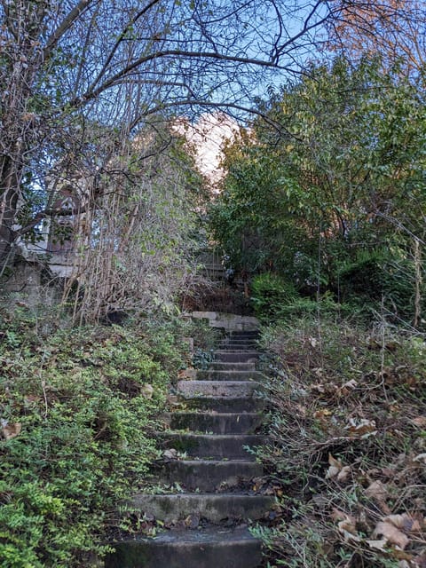 Discover the Living Beauty of Père-Lachaise - An Introduction to Père-Lachaise’s Hidden Charm