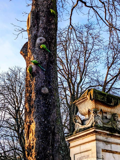 Discover the Living Beauty of Père-Lachaise - Wildlife Encounters and Ecological Insights