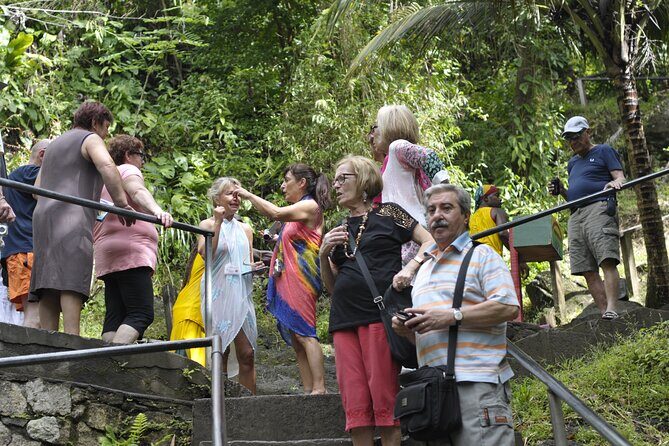 Discover the Magic of Annandale Waterfall & Forest Park - The Experience in Detail: A Complete Breakdown