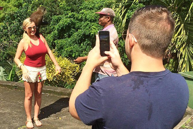 Discover the Magic of Annandale Waterfall & Forest Park - Final Thoughts: Who Should Book This Tour?