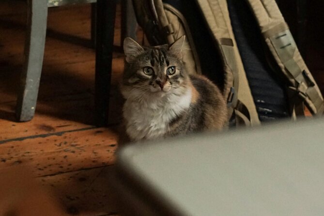 Discover the Magic of Turkish Coffee Fortune Telling - What’s Included & What to Expect