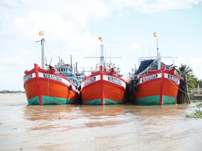 Discover the Mekong Delta from Ho Chi Minh City - Cultural and Musical Encounters