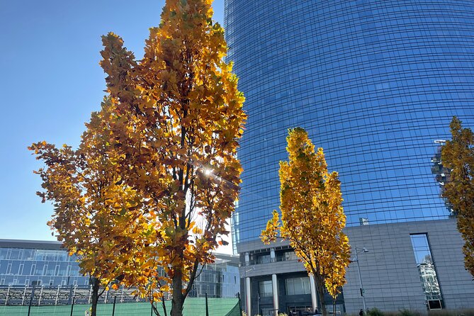 Discover the Milano by Food - Immerse Yourself in the Local Food Culture