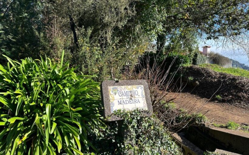 Discover the Paradise Valley - a quick escape for Everyone - What to Expect: A Detailed Look at the Tour