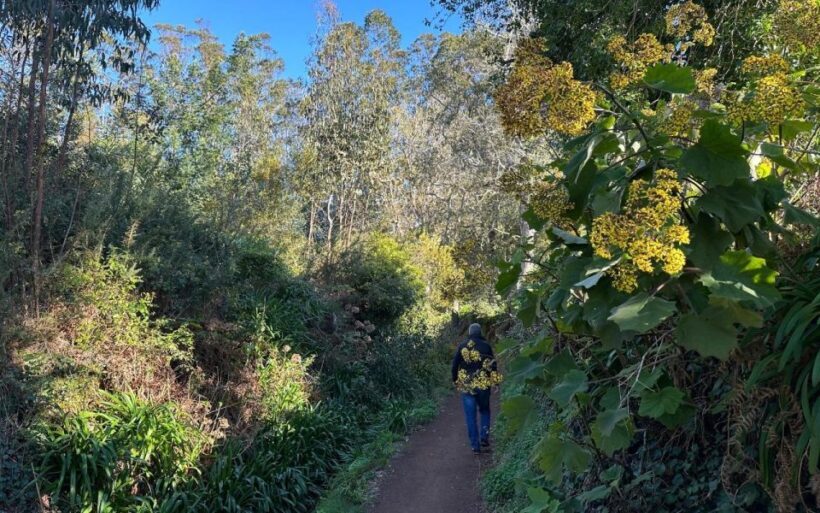 Discover the Paradise Valley - a quick escape for Everyone - The Experience in Detail