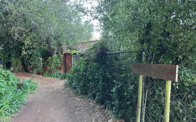 Discover the Paradise Valley - a quick escape for Everyone - Who Should Consider This Tour?